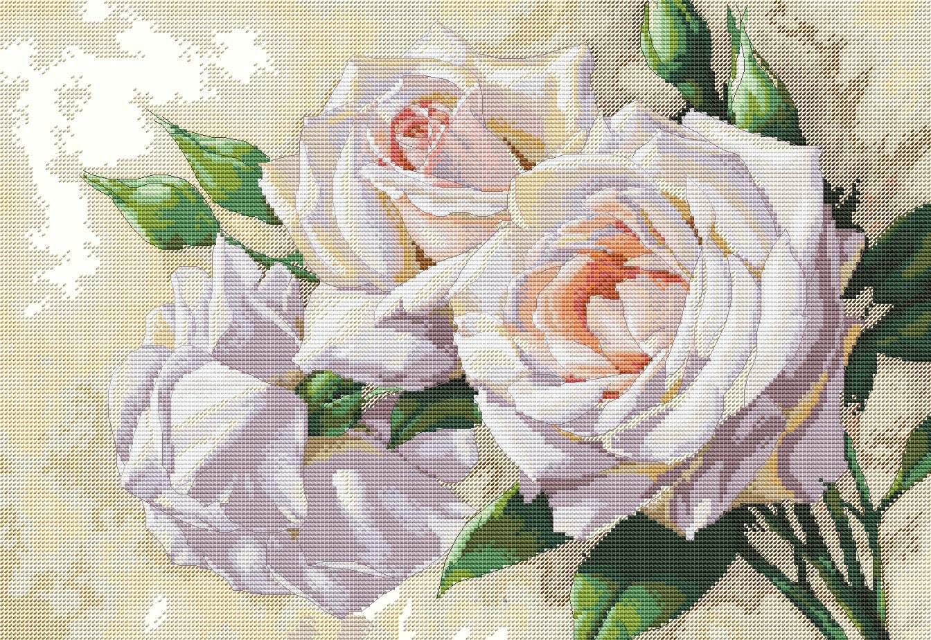 White Roses Cross Stitch Pattern PDF Digital Pattern Modern | Etsy