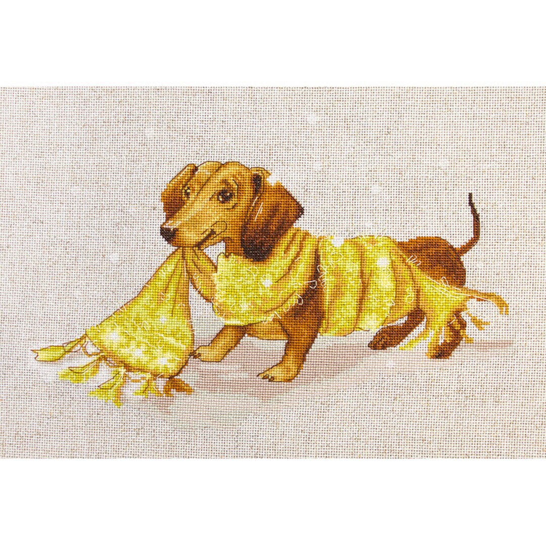 Dog Dachshund Counted Cross Stitch Kit Lucas Counted Cross Stitch Kits ...