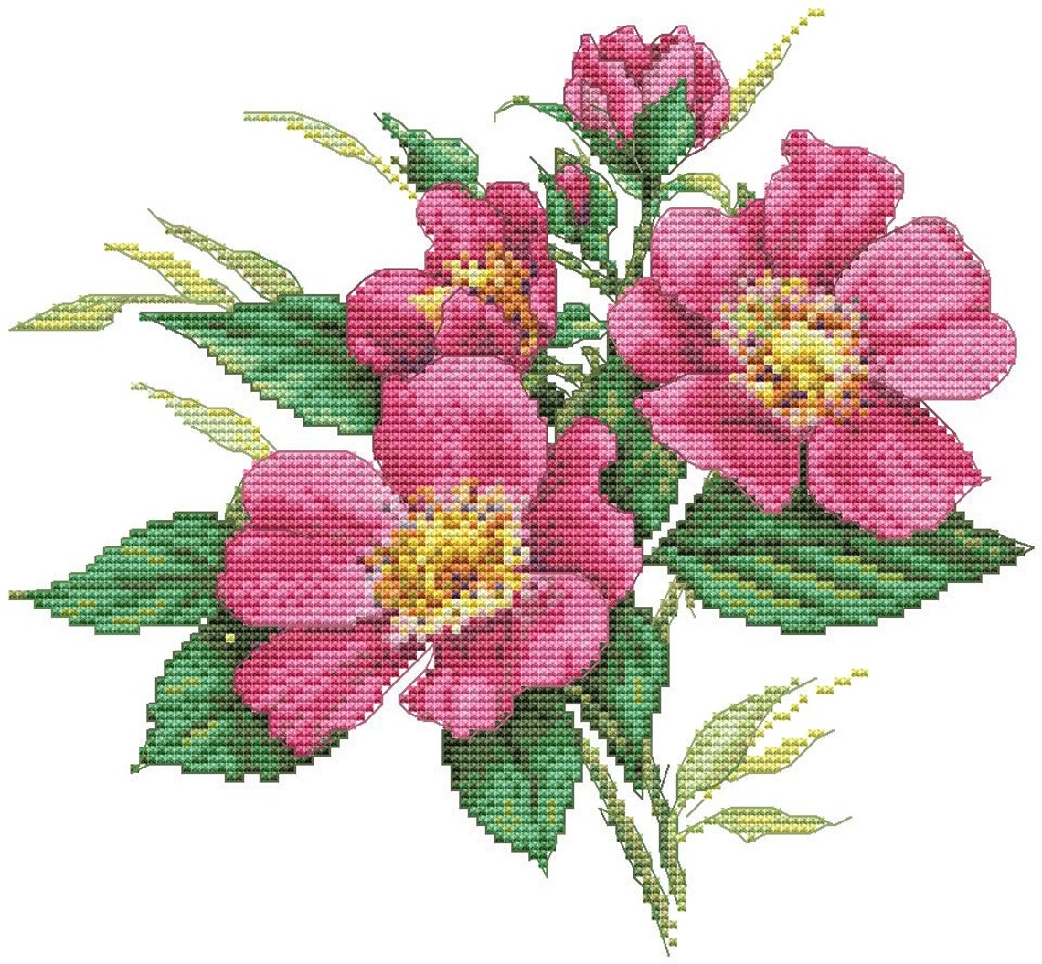 Cross Stitch Pattern Dark Pink Wild Roses Digital Pattern - Etsy