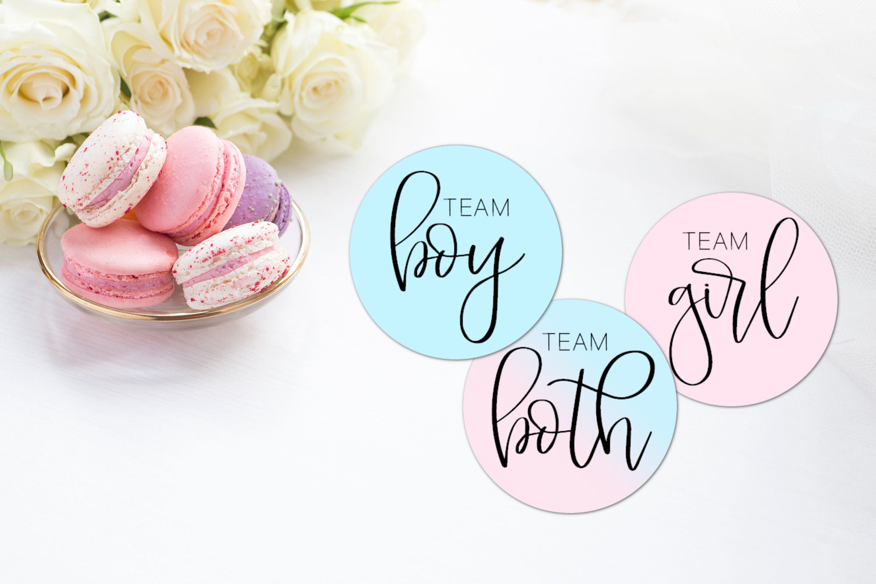 Gender Reveal Stickers for Twins Twins Gender Reveal | Etsy