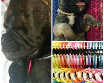 Whelping Collars - Etsy