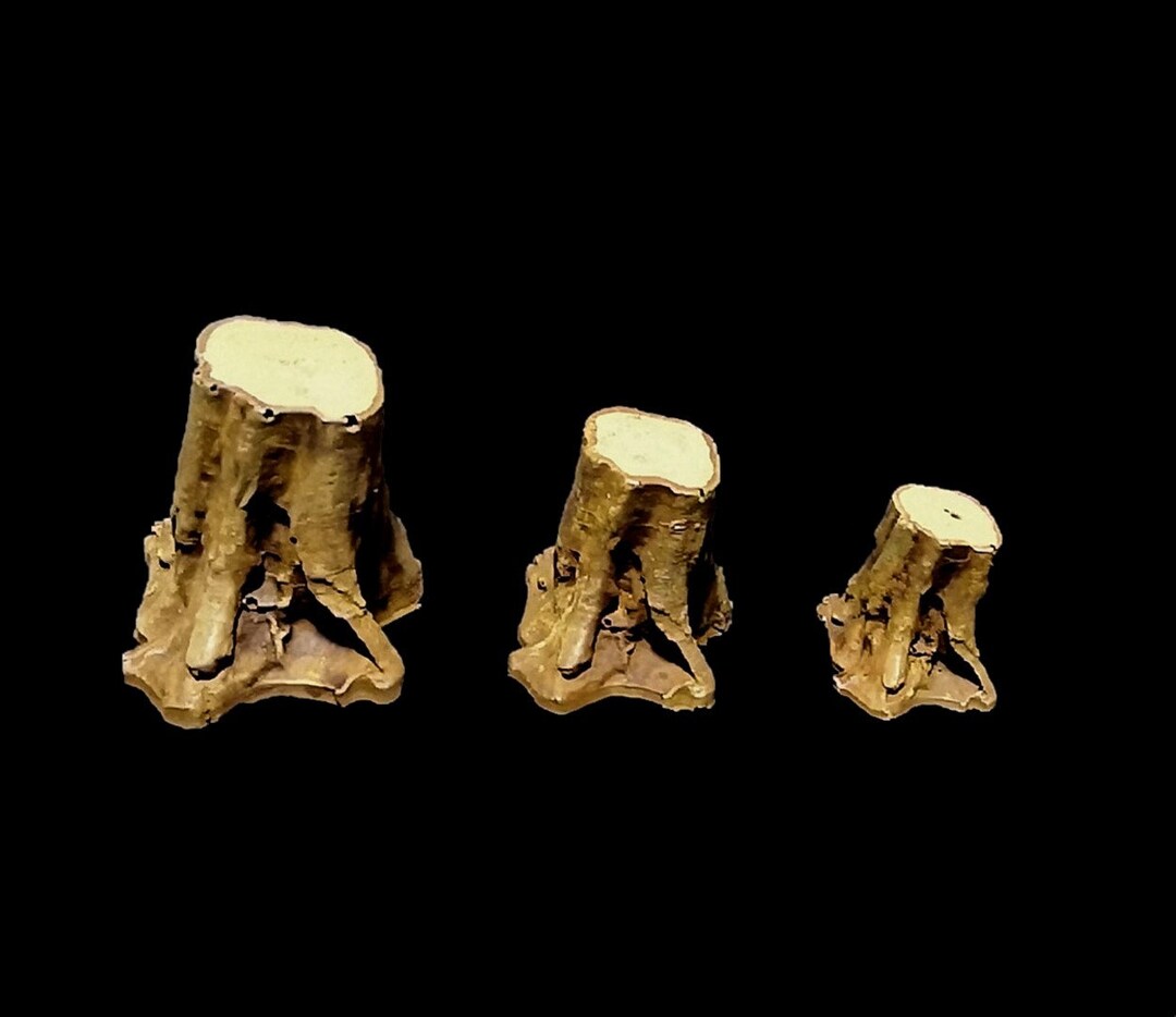 1/35 Cut Tree Root for Diorama - Etsy