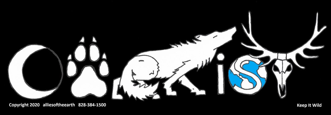 COEXIST Bumper Sticker - Etsy