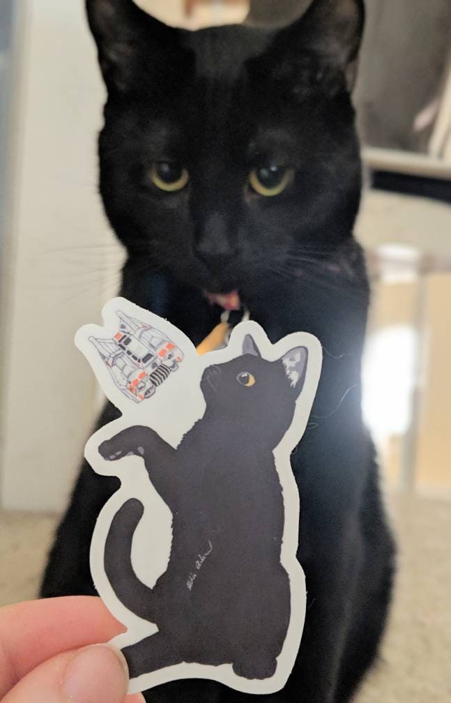 Star Wars Cat Sticker - Etsy