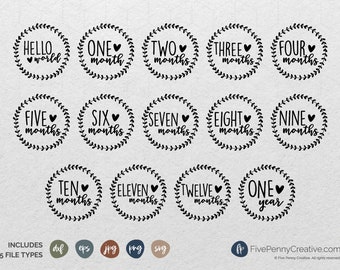 Months Baby Svg - Etsy