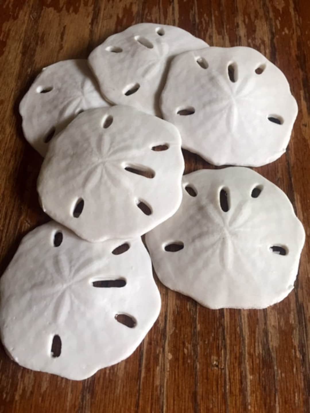 White Sand Dollars 3" Resin Fake Sand Dollars Cruelty Free Sea Life ...