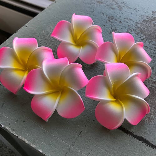 Luau Hawaiian Flowers Fake Plumeria Lot of 25 Foam Small - Etsy
