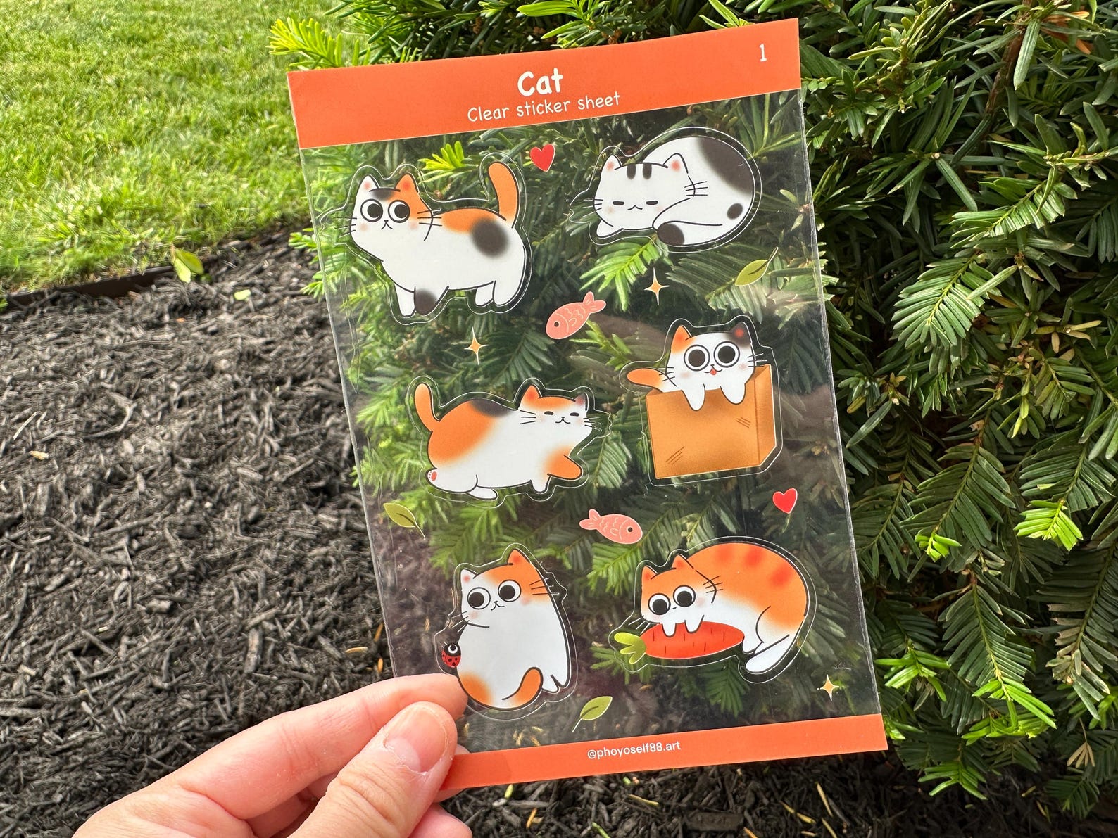 Silly Cat Sticker Sheet: Glossy Transparent Planner Stickers - Etsy