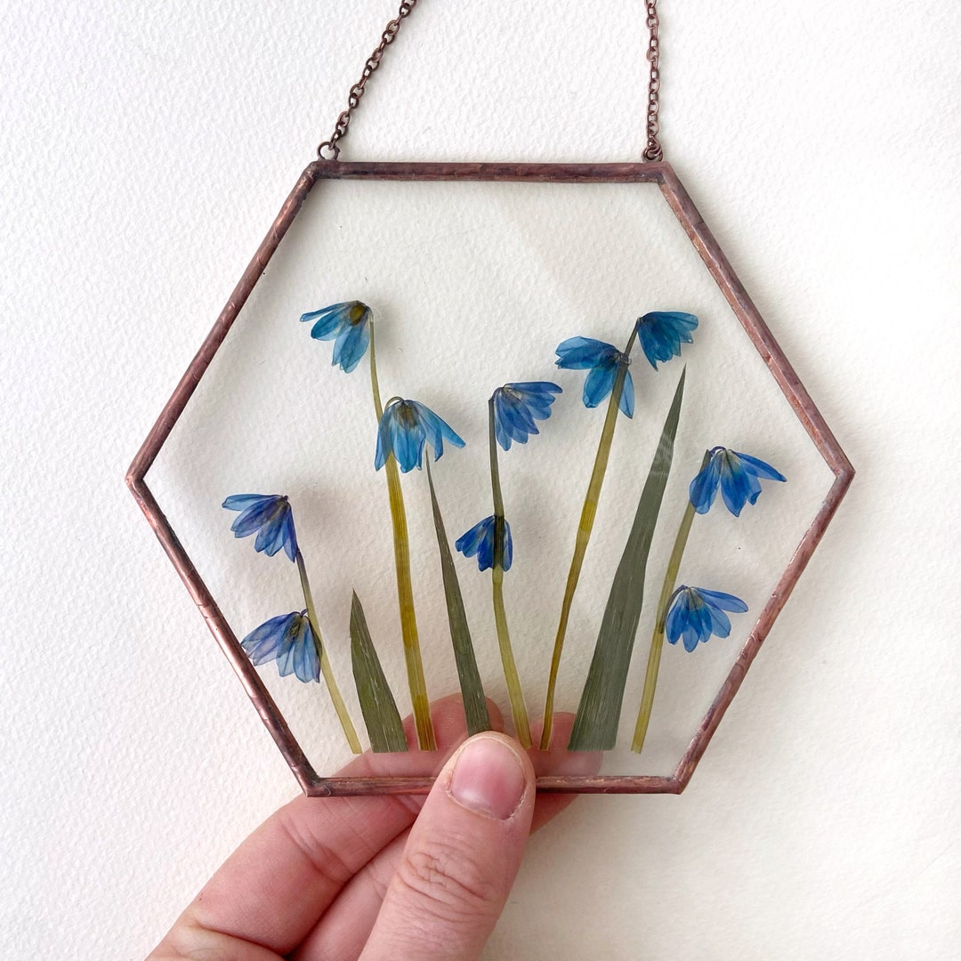 Spring Flowers in Glass Pressed Flower Frame Stained Glass - Etsy