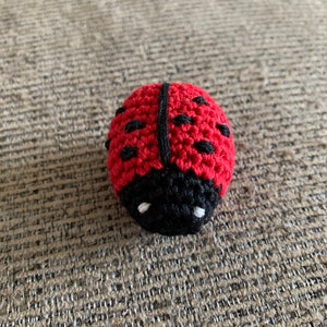 Crochet Mini Ladybug (not Pattern) Finished Product - Etsy