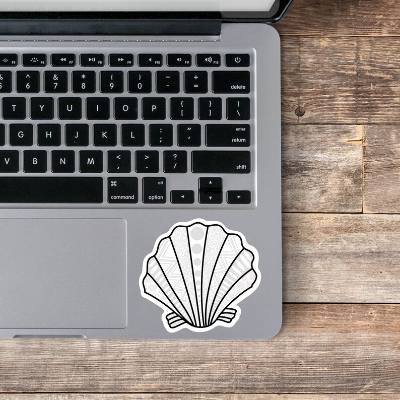 Clam Shell Zentangle Ocean Theme Aquatic Matte Water - Etsy