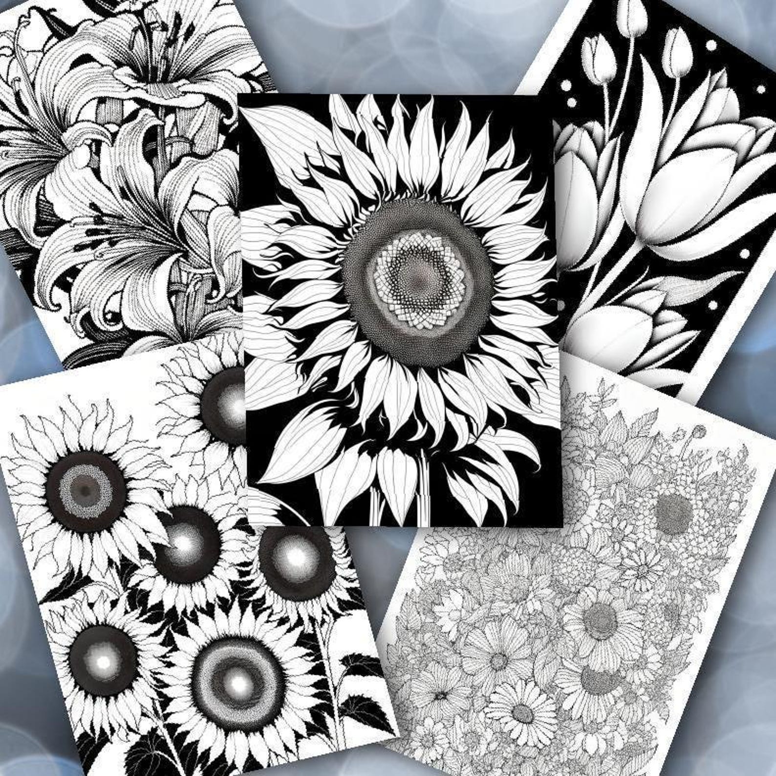 Printable Nature Coloring Book Pages Variety Pack Full Shop 250+ Pages ...