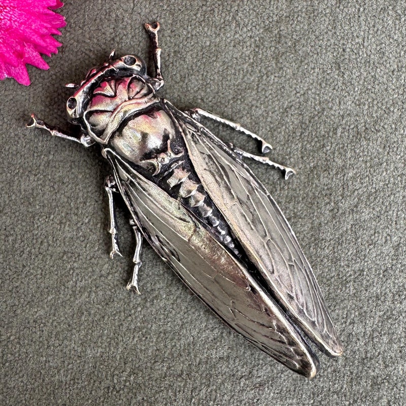 Cicada Brooch - Etsy