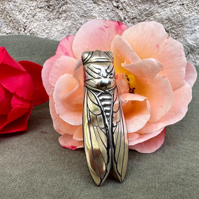 Cicada Brooch - Etsy
