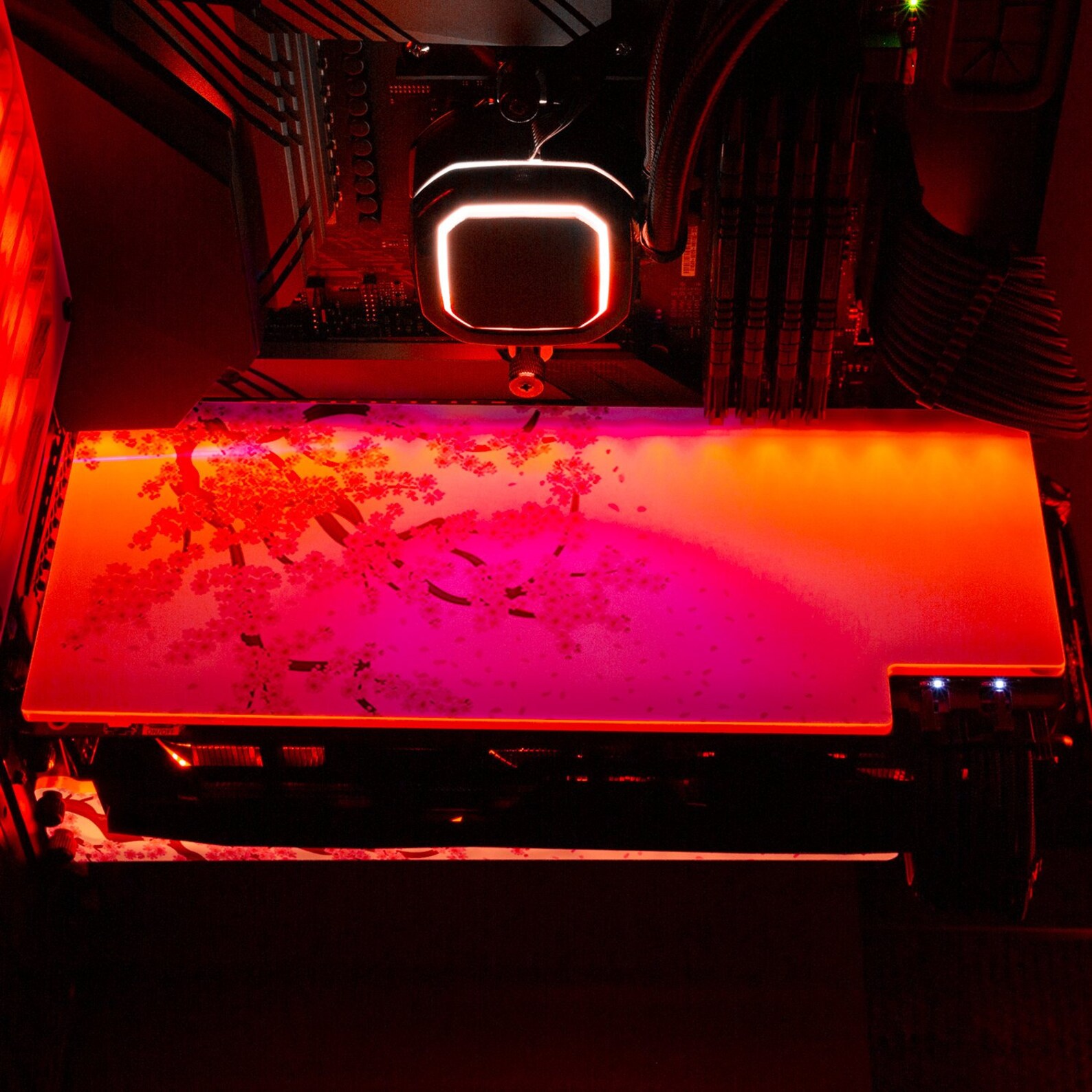 Custom RGB GPU Backplate Sakura | Etsy Canada