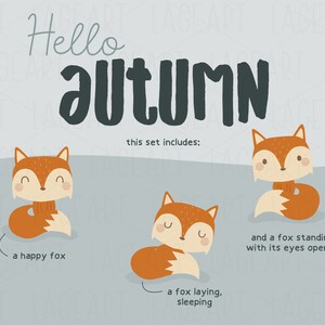 Autumn Fox Clipart Set / Fall PNG / Cute Fox / Flowers Illustration ...