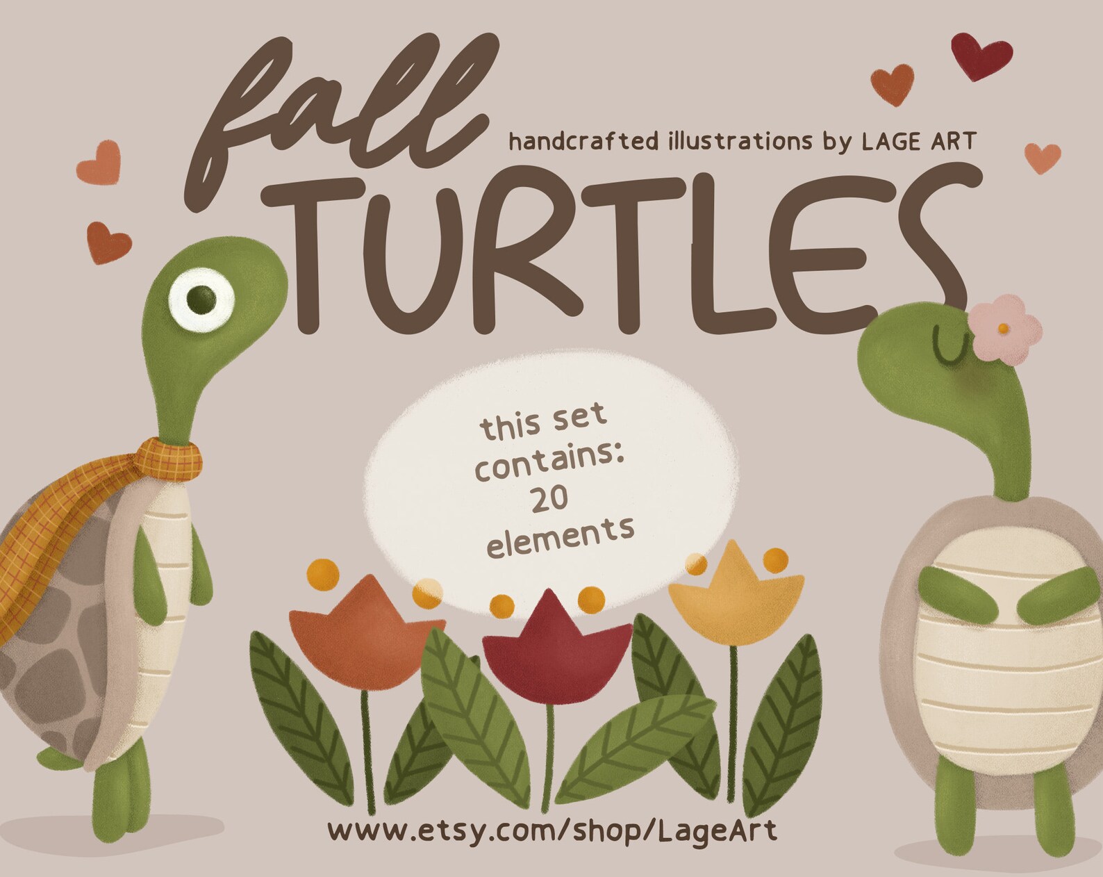 Fall Turtles Clipart Set / PNG / Cute Turtle / Flower Illustration ...