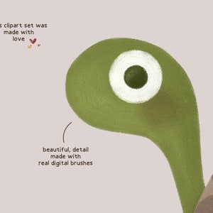 Fall Turtles Clipart Set / PNG / Cute Turtle / Flower Illustration ...