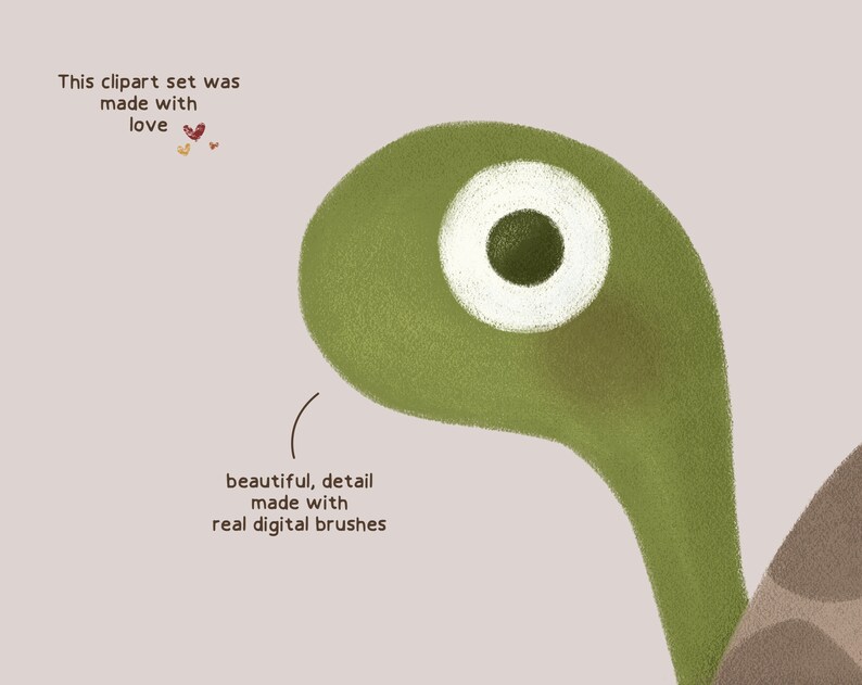 Fall Turtles Clipart Set / PNG / Cute Turtle / Flower - Etsy UK