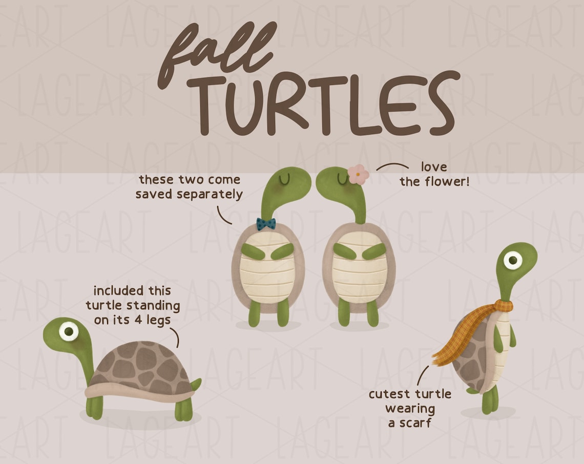 Fall Turtles Clipart Set / PNG / Cute Turtle / Flower - Etsy UK