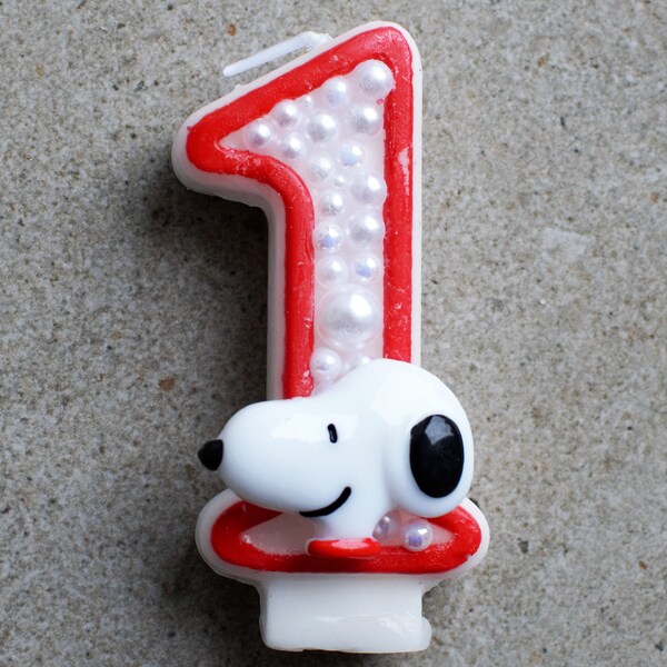 Snoopy Birthday - Etsy