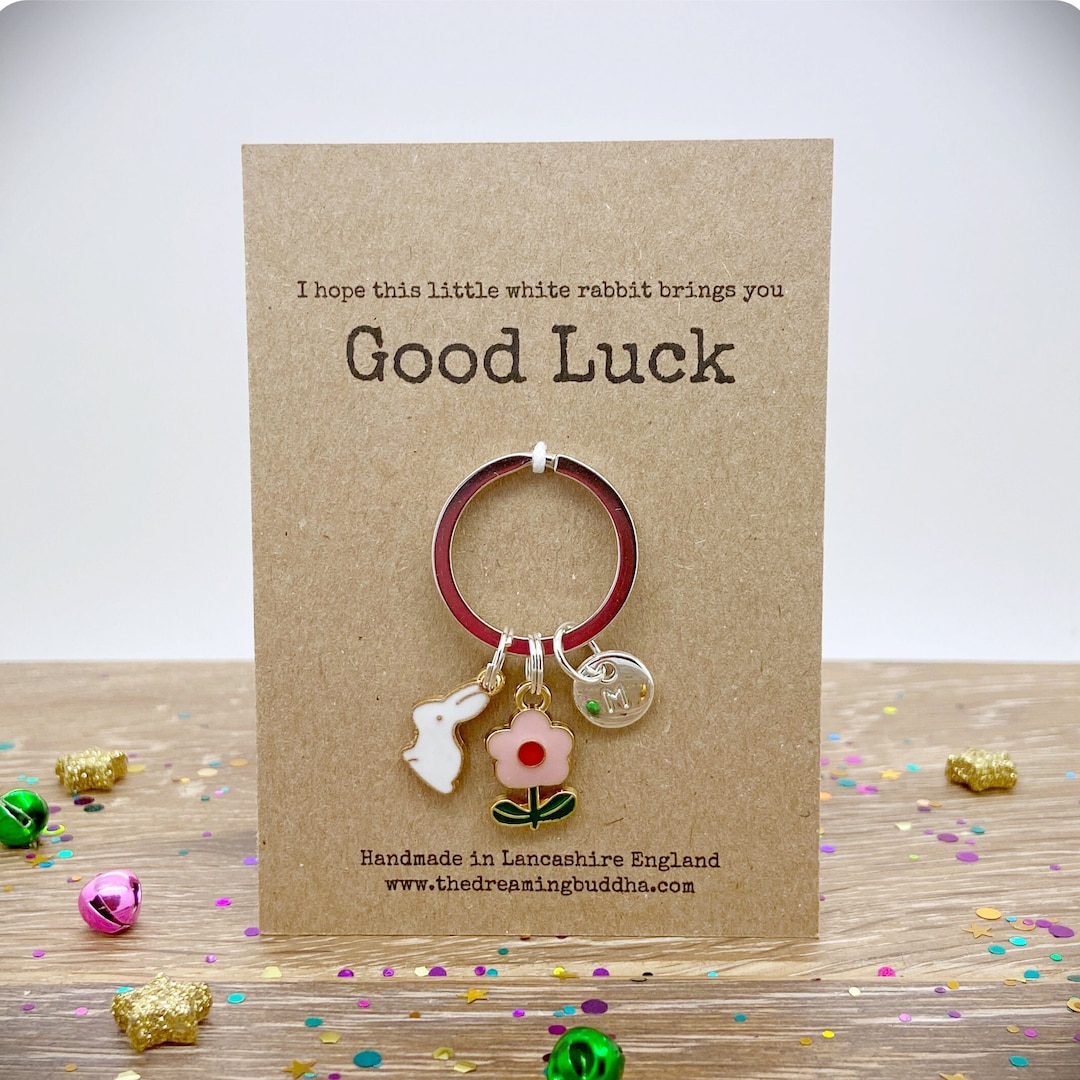 Good Luck Rabbit Keyring, Lucky Driving Test Gift, New School Bag Charm ...