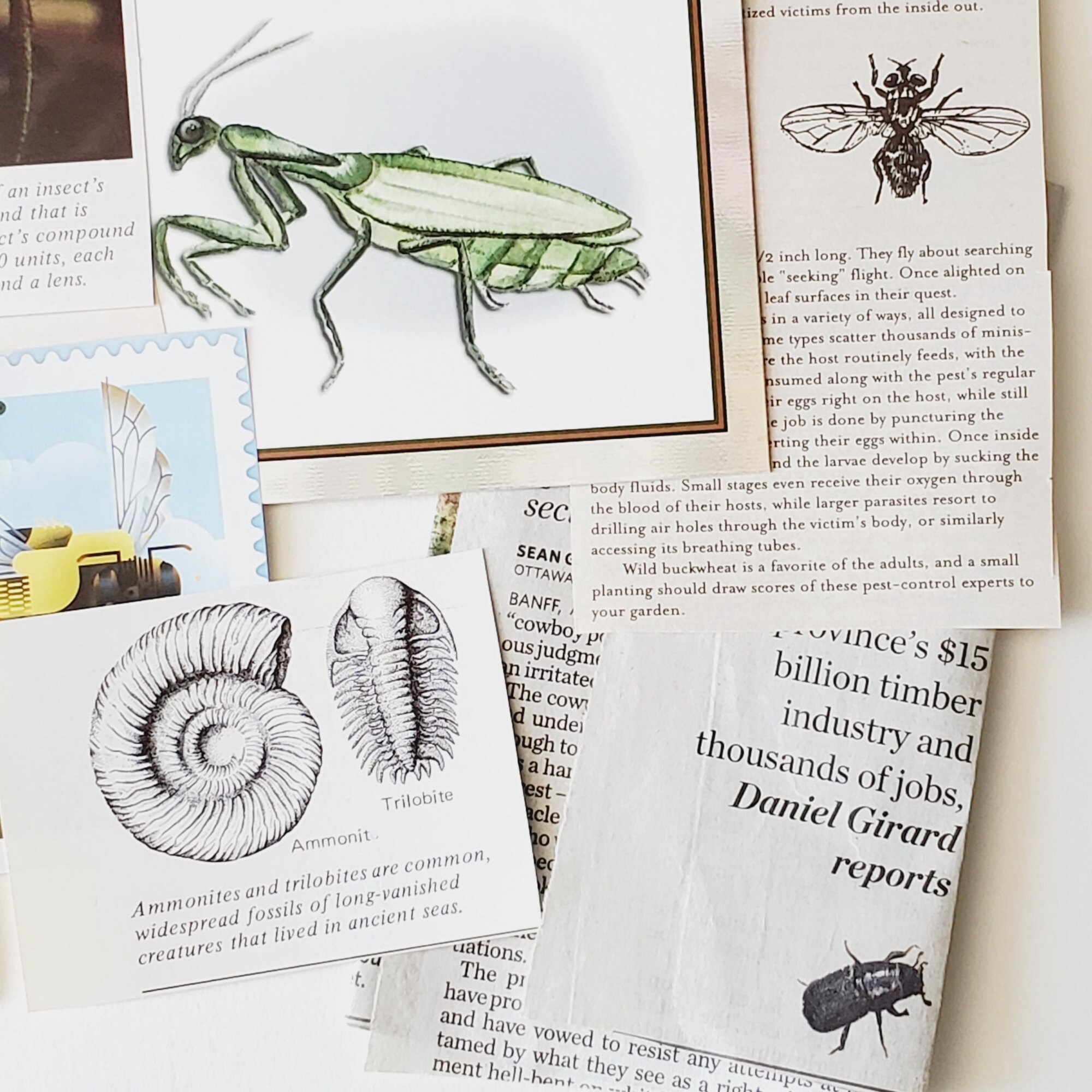 Insects Journal