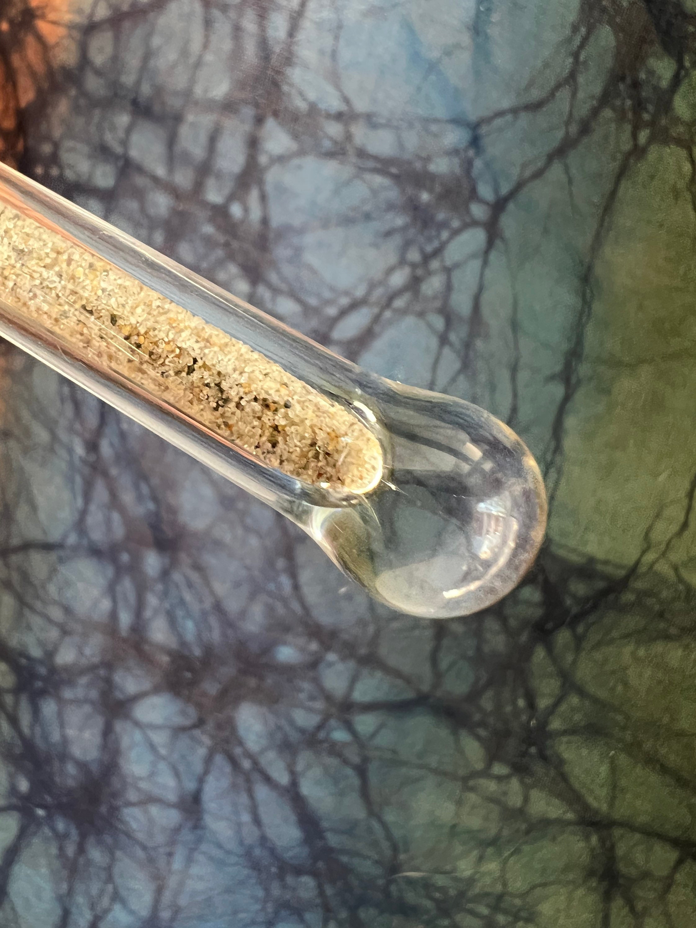 Stir Stick Sea Turtle Beach Sand With Eggs - Etsy