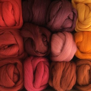 Needle Felting Wool, Large Red & Orange Tones Set 12 Colors of South ...