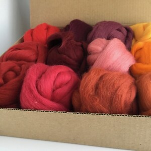 Needle Felting Wool, Large Red & Orange Tones Set 12 Colors of South ...