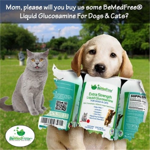 Bemedfree.com Liquid Glucosamine for Dogs & Cats, Hip and Joint Pain ...