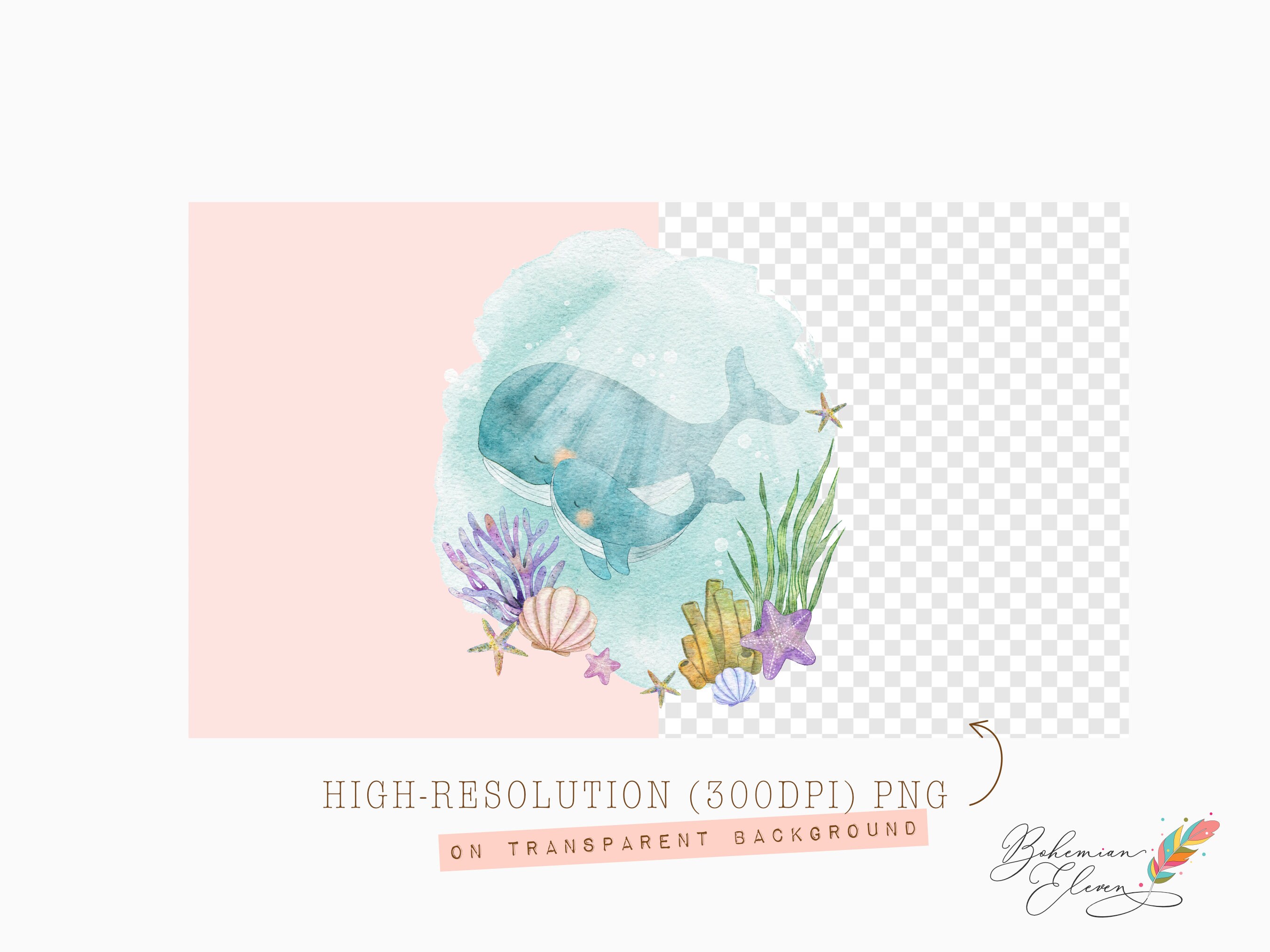 Watercolor Whale: Hand Painted Clipart / Nursery Art / Baby Animal ...