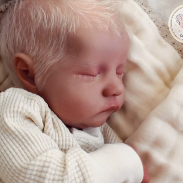 Custom Reborn Lottie - Etsy