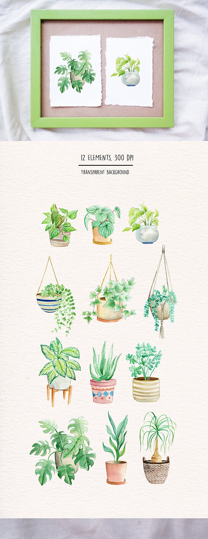 Watercolor House Plant Clipart in Png Included Monstera - Etsy
