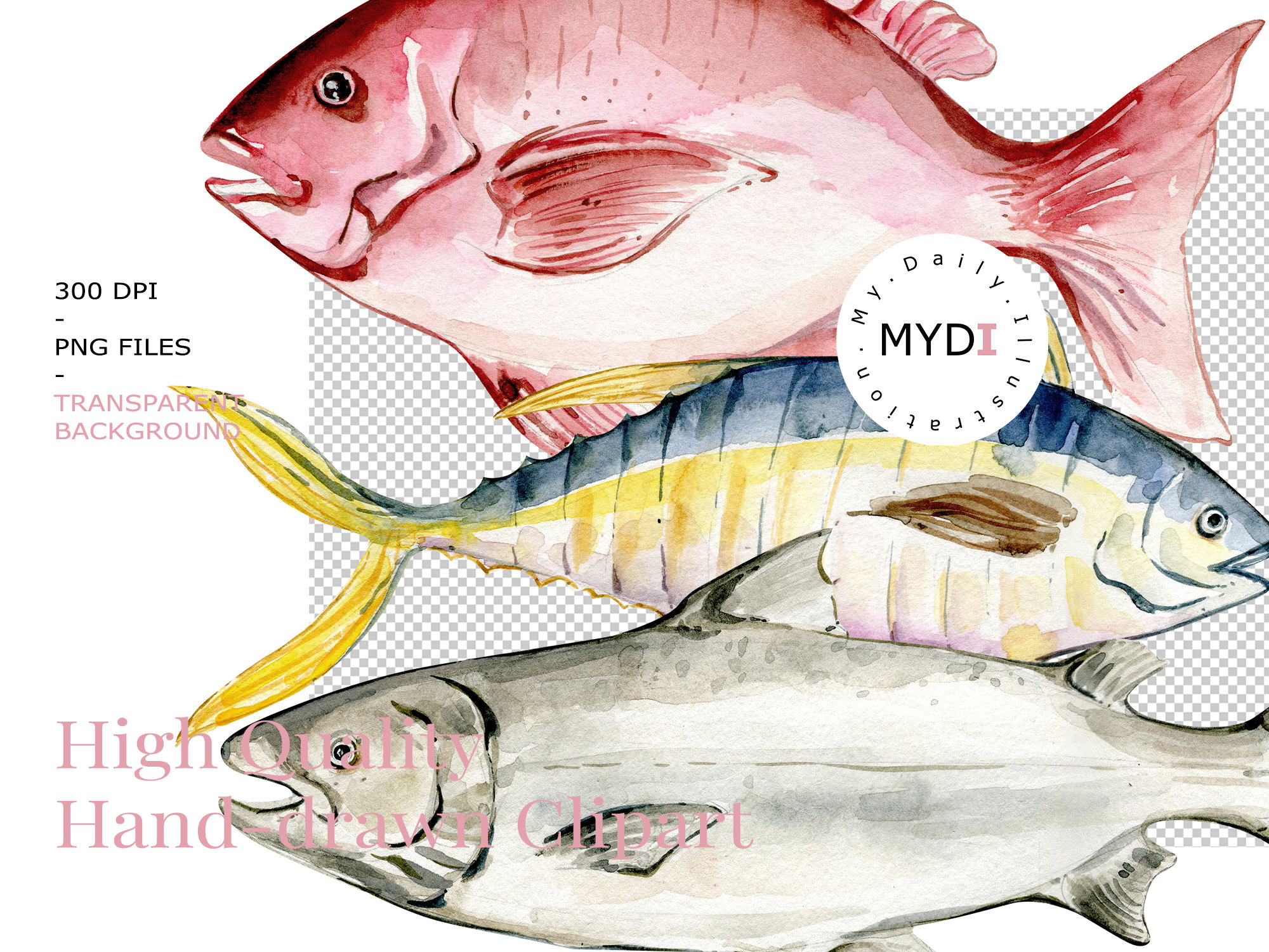 Watercolor Fish Clipart in Png That Included Fresh Water Fish, Perfect ...