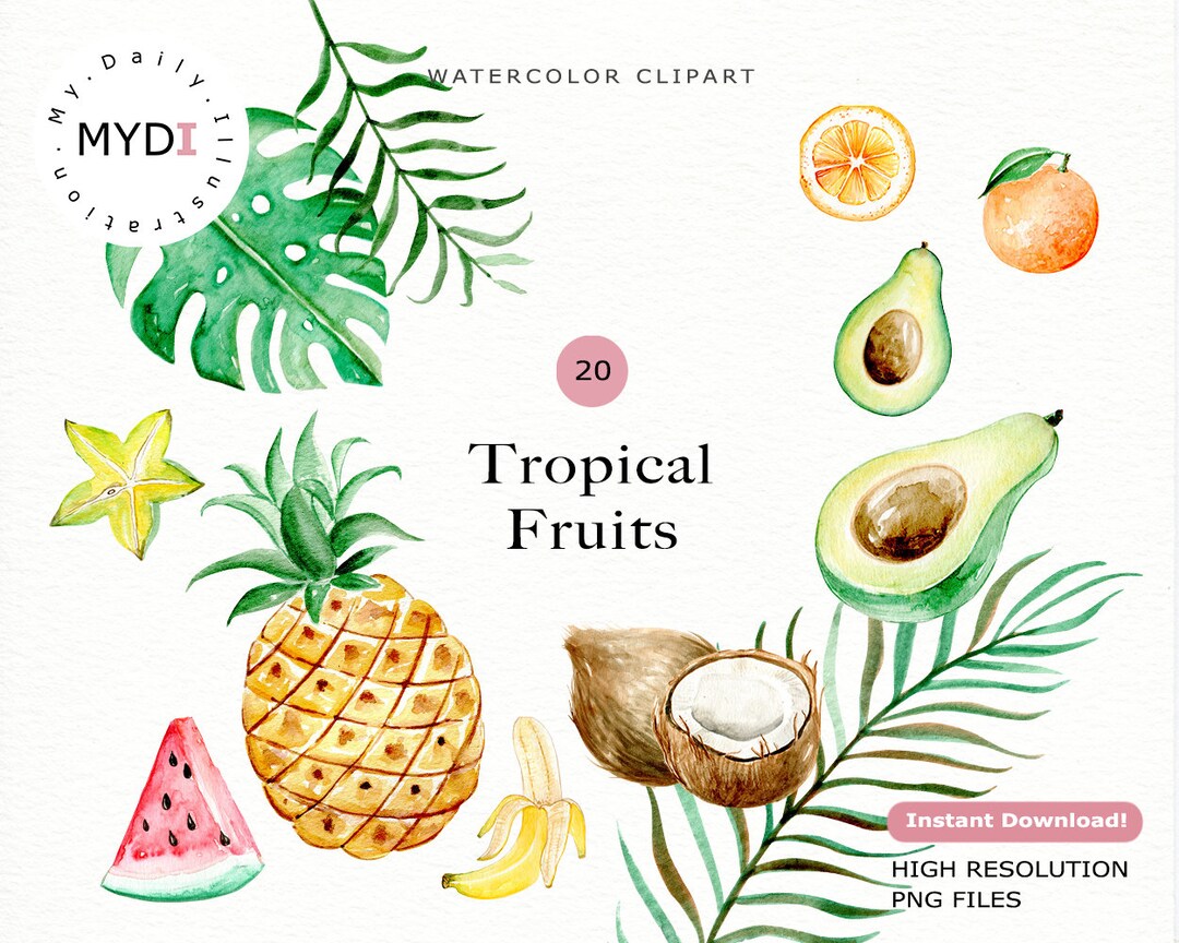 Watercolor Summer Clipart Avodaco, Pineapple, Coconut Clip Art Digital ...