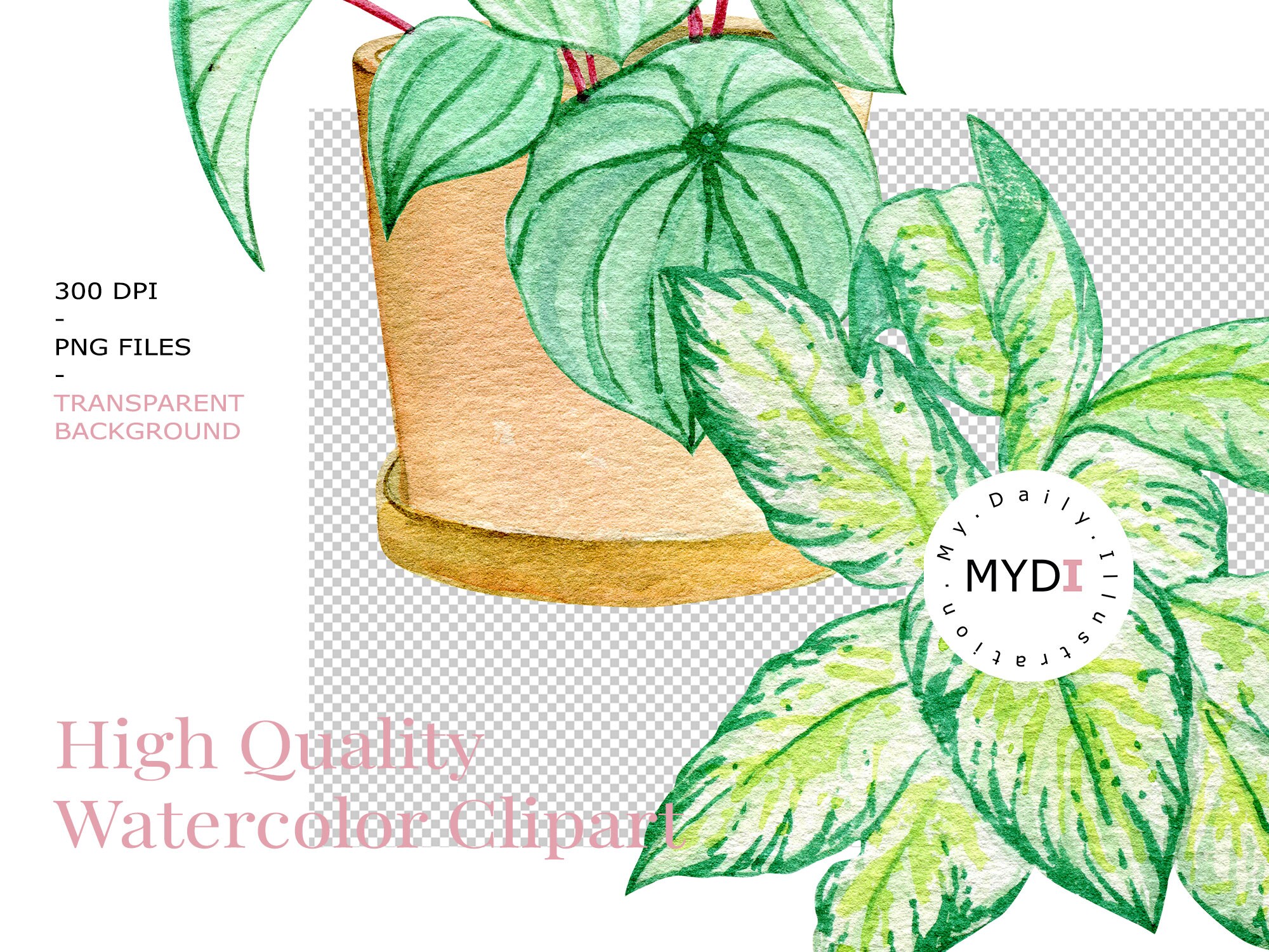 Watercolor House Plant Clipart in Png Included Monstera - Etsy