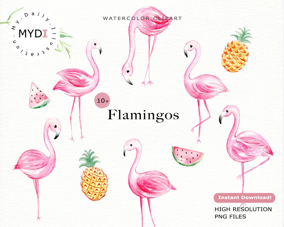 Watercolor Flamingo Clipart Set for Summer Beach Themed Project ...