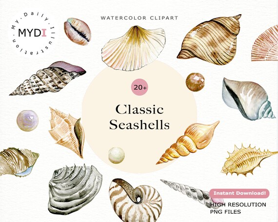 Watercolor Shell Clipart Nautical Decor Beach Sea Clip Art - Etsy