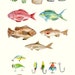 Watercolor Fishing Clipart Set for Summer Time and Father's Day Design ...