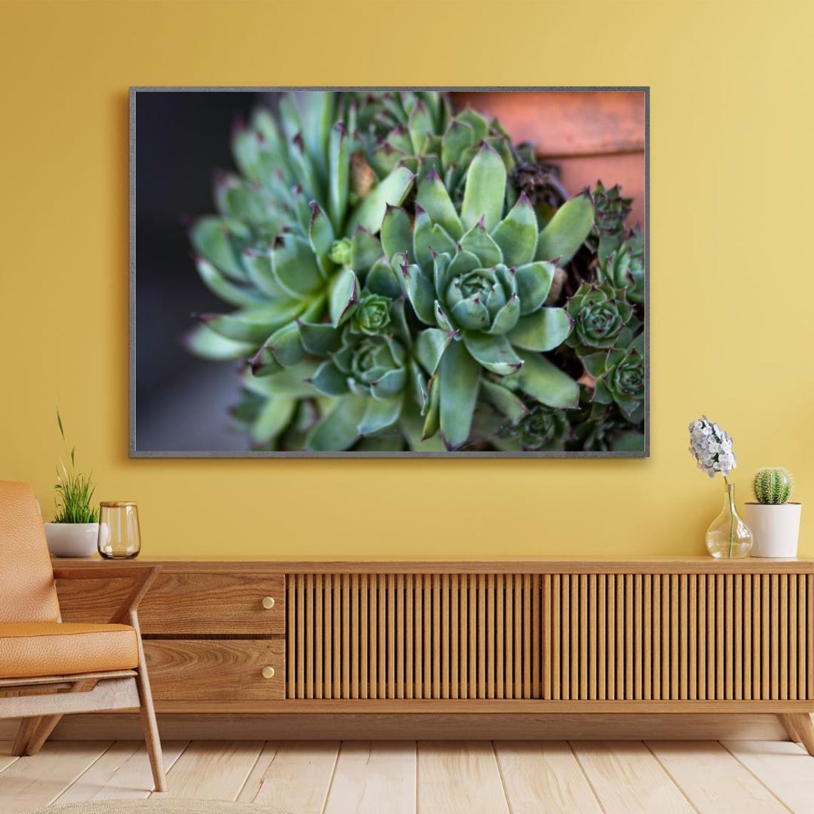 Captivating Chicks and Hens Plant Photography Art (digital Download) - Etsy