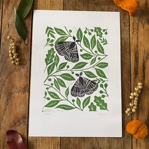Original Moth Lino Print Home & Living Botanical Home - Etsy