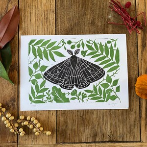 Original 'moth' Lino Print | Prints | Home & Living | Home Decor | Wall ...