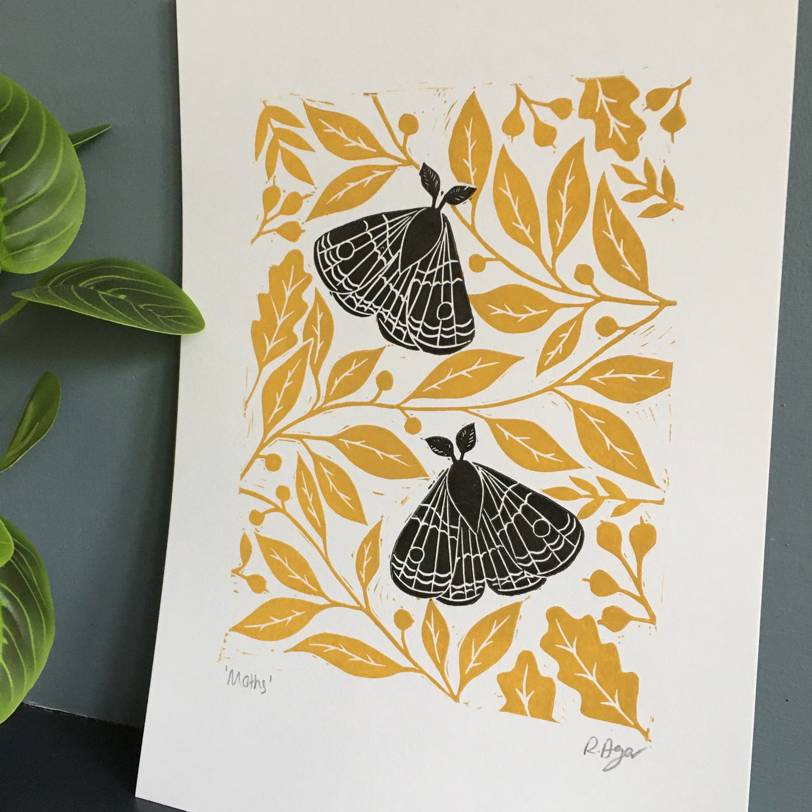 Original Moth Lino Print Home & Living Botanical Home | Etsy