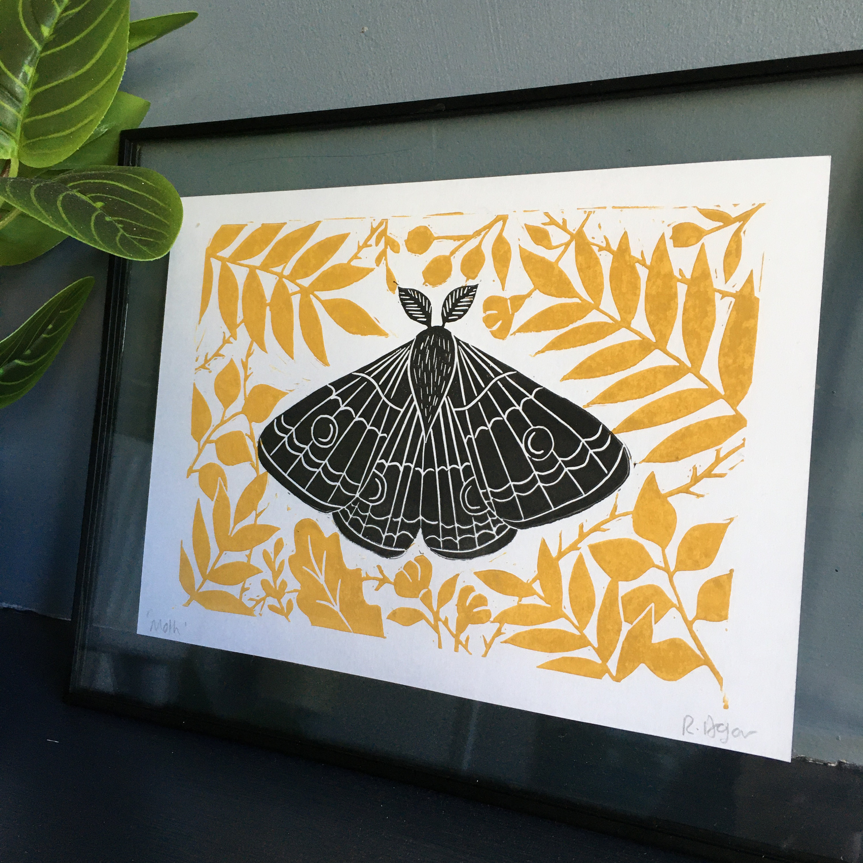 Original 'moth' Lino Print Prints Home & Living - Etsy