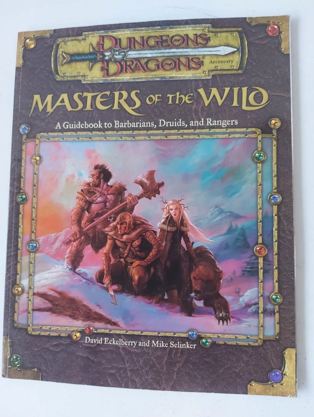 D&D Masters of the Wild Guide to Barbarians Druids Rangers WOTC (2002 ...