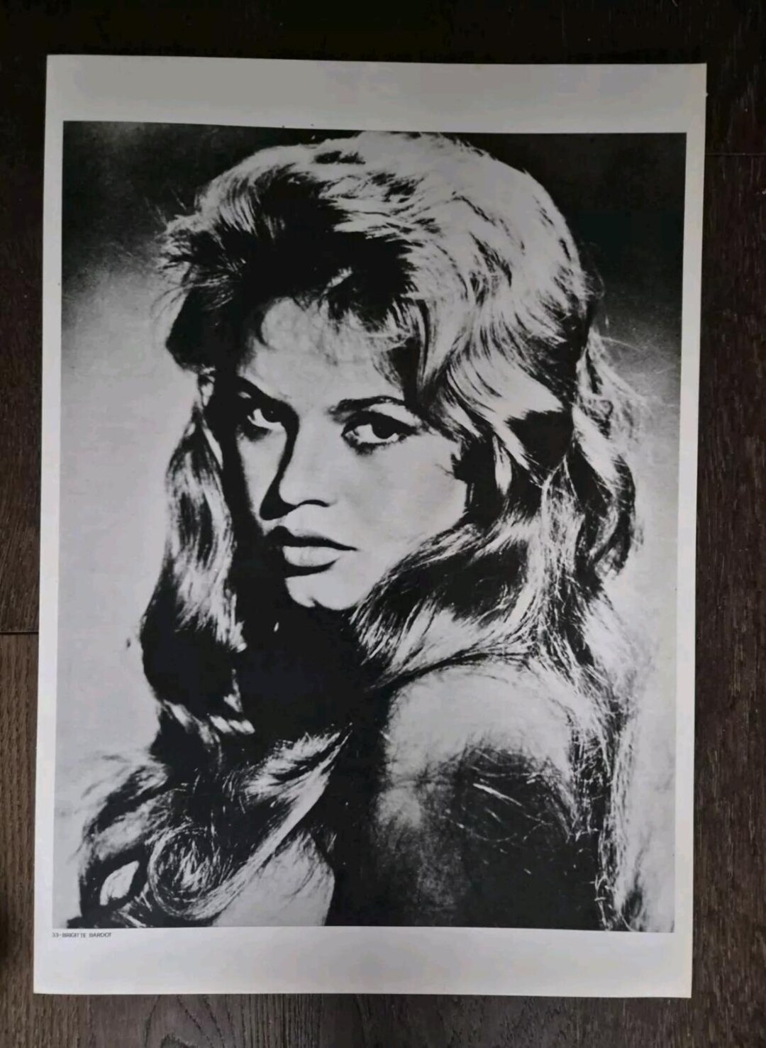 Brigitte Bardot Large 18" X 13" Lobby Card Poster Vintage Rare 1970s - Etsy