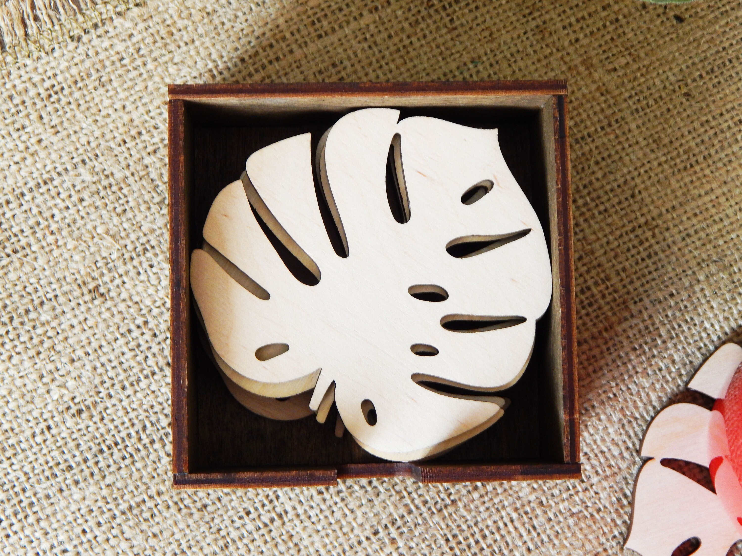 Monstera Leaf Coasters Drink coasters Plant coasters | Etsy