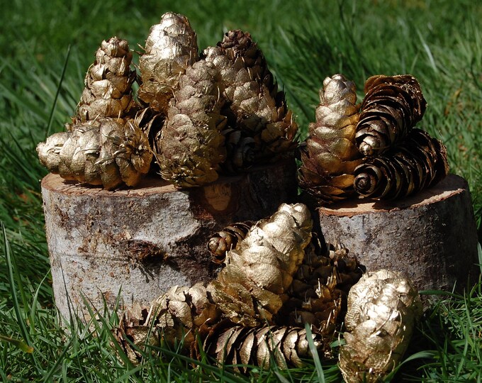 20 Gold Douglas Fir Cones, Medium Gold Pinecones, Decorative Pinecones ...