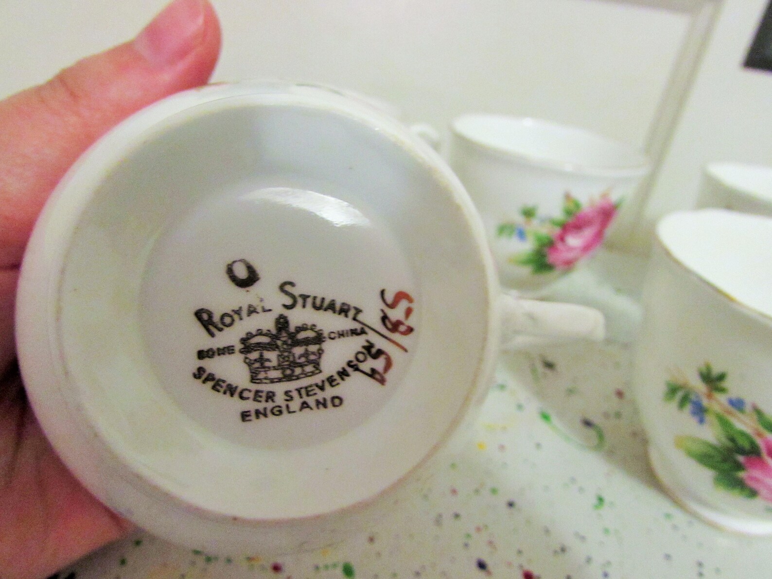 Five Royal Stuart Spencer Stevenson England Tea Cups | Etsy